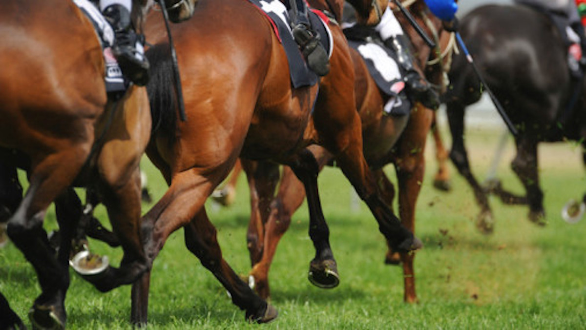 Analysis and prevention of spinal injuries in horse racing - CAMERA